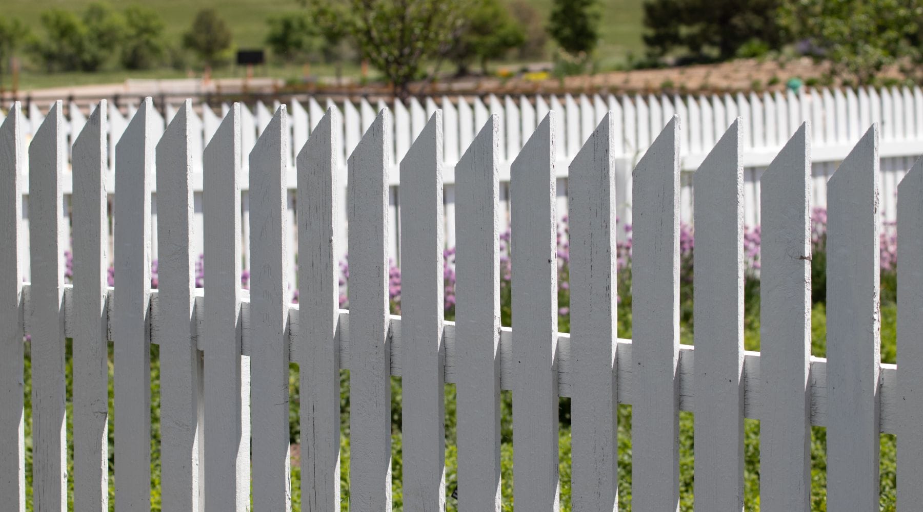 Professional Fencing Adelaide | Expert Installation