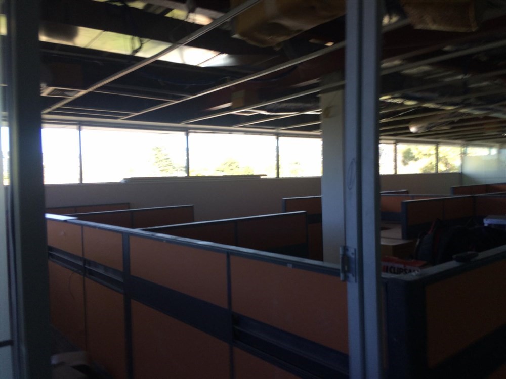 Gerard Lighting Dulwich | Adelaide Office Projects