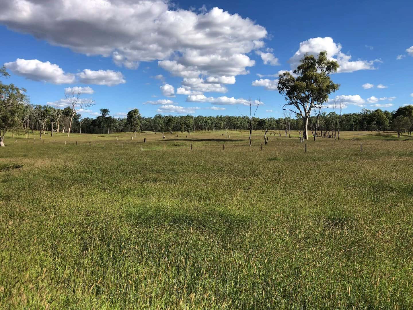 CJ & JR Hicks - AGDATA Australia