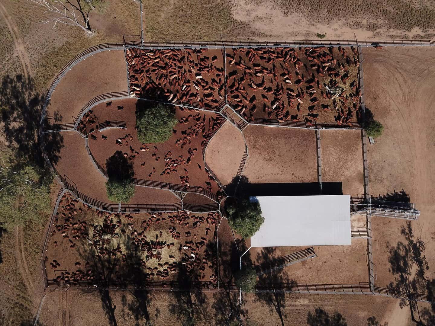 CJ & JR Hicks - AGDATA Australia