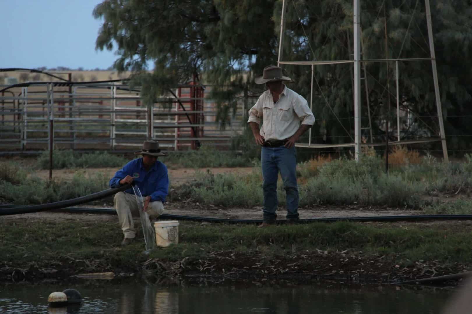 Corfield Downs Pastoral - AGDATA Australia