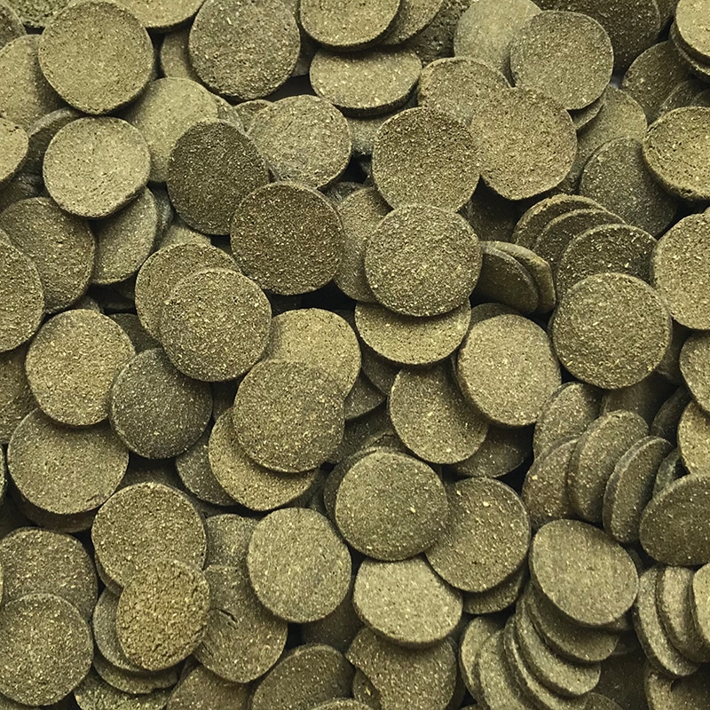 FLUVAL BUG BITES ALGAE WAFERS – Aggies Aquariums