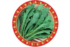 Asian Vegetables | The Potted Wok - Western Australia