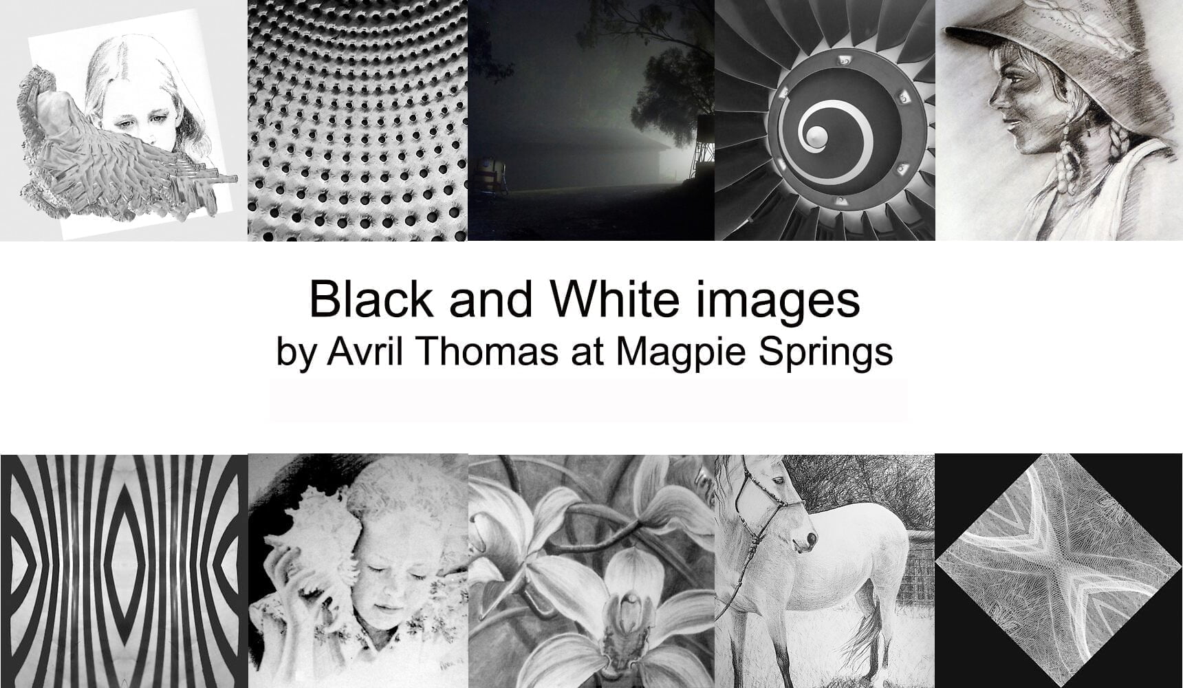 Black and White Art for sale, Adelaide Artist - Avril Thomas Artist