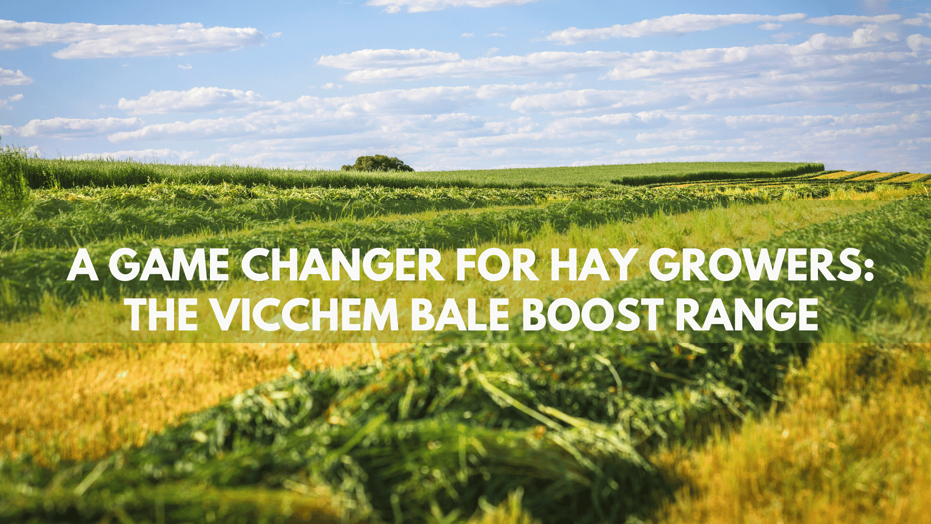 A Game Changer For Hay Growers: The Vicchem Bale Boost Range - AW Vater ...