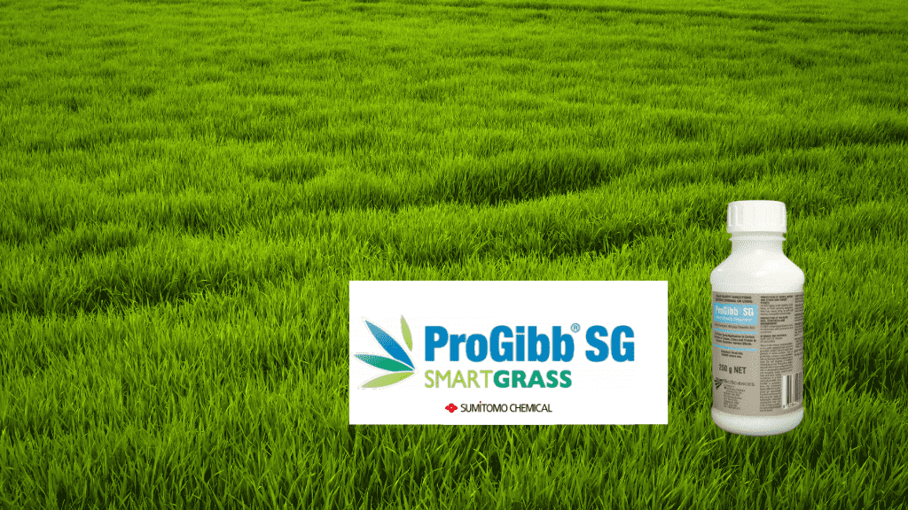 Boosting Pasture Growth with ProGibb SG - AW Vater & Co