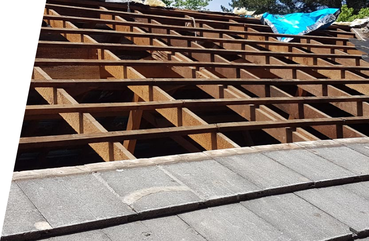 Quality Battens & Purlins for Your Roof System in Adelaide
