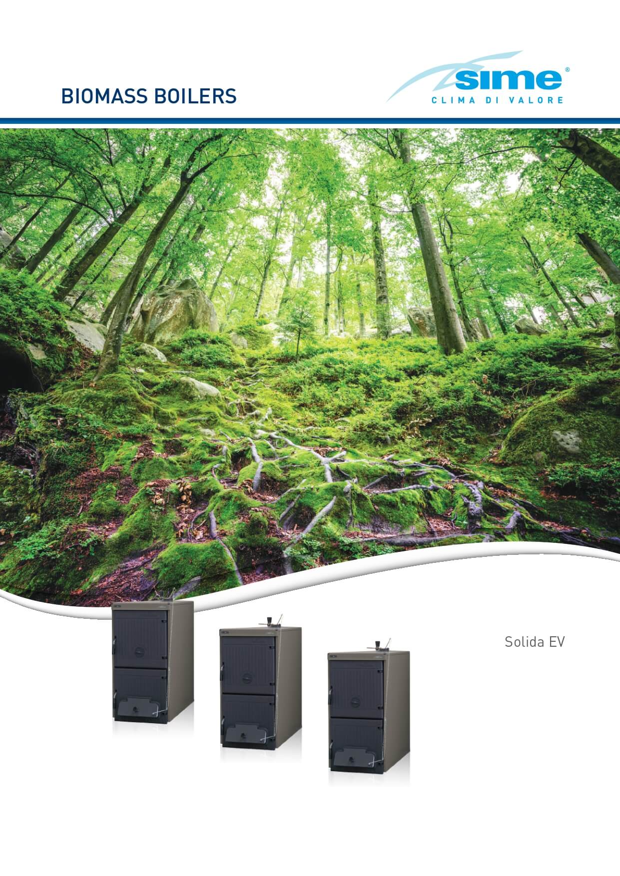 Biomass Boilers: Download Brochure | Belle Comfort Solutions