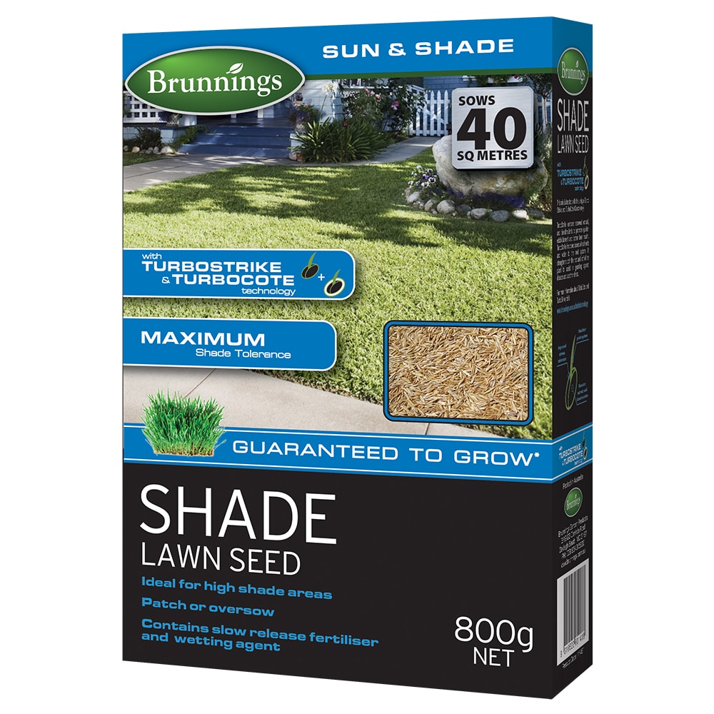 Shade Lawn Seed 800g - Brunnings