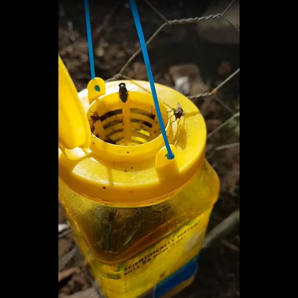 Mini Disposable Fly Trap - Brunnings