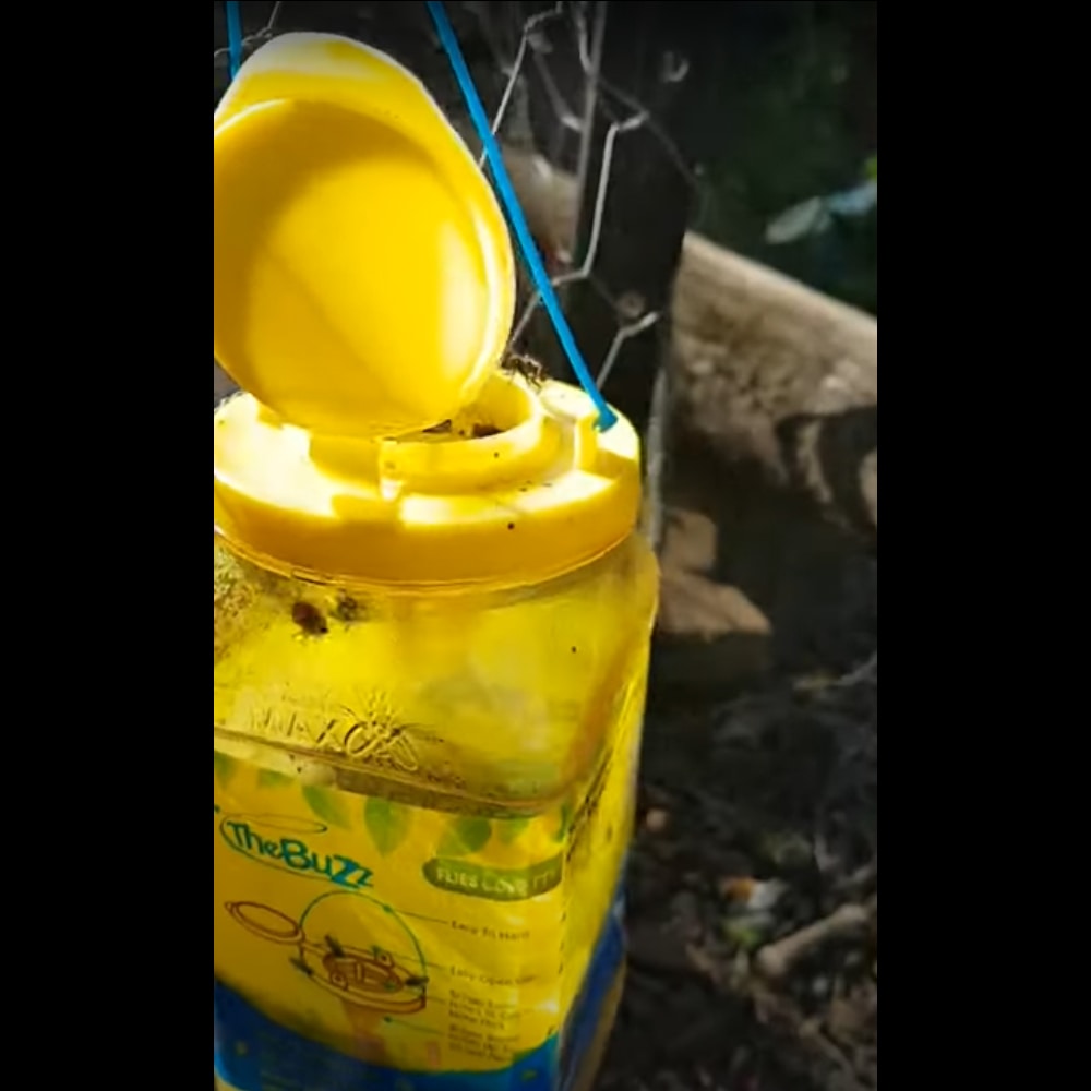 Mini Disposable Fly Trap - Brunnings