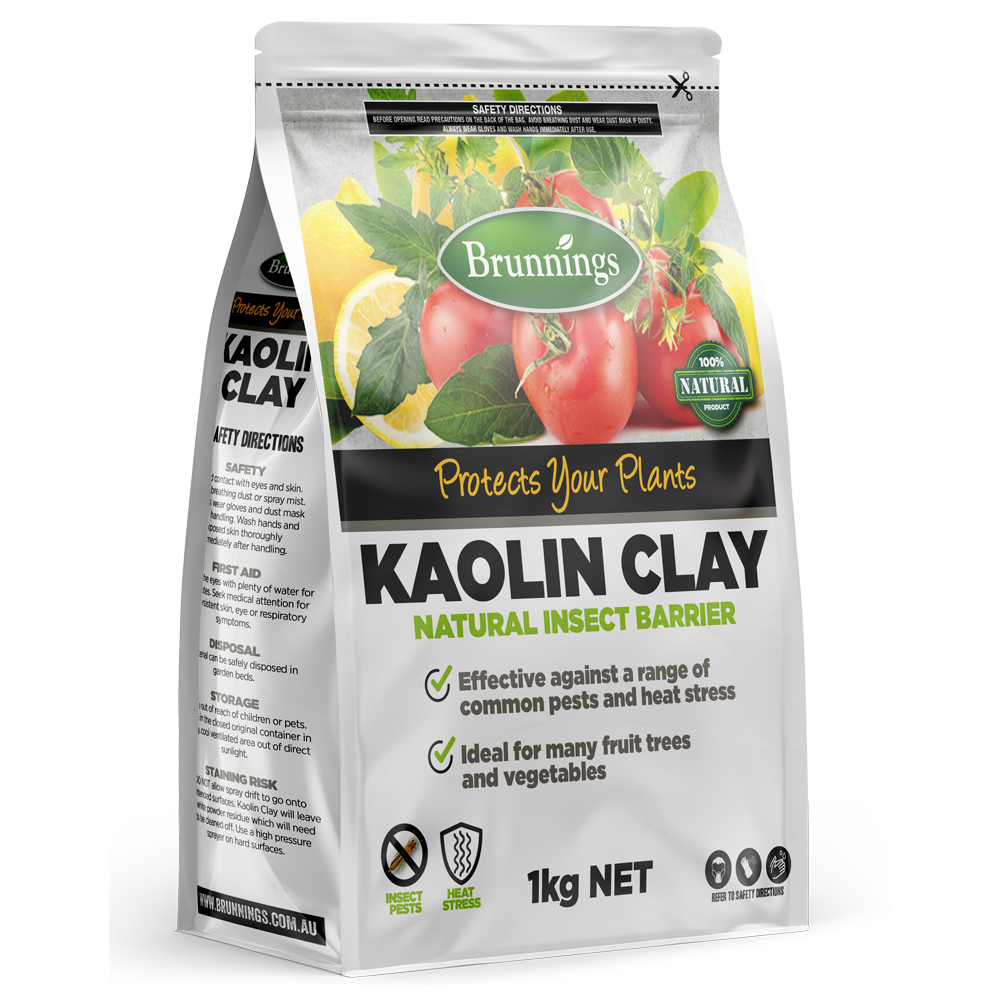 Kaolin Clay 1kg - Brunnings