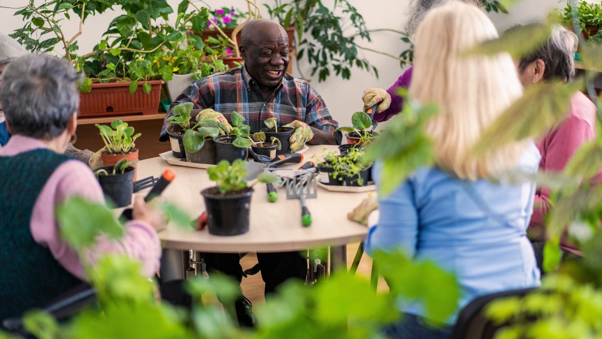 Comprehensive Care Solutions with Care Remedy: Enhancing Lives with ...