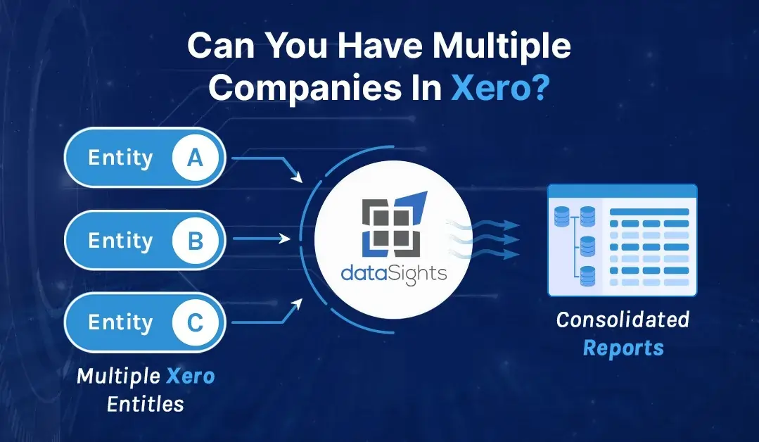 Can You Have Multiple Companies in Xero? Complete Guide