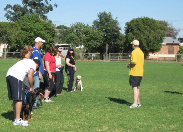 Gepps Cross Dog Training Adelaide