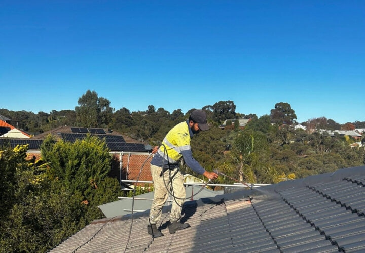 Case Studies | Dolphin Roofing