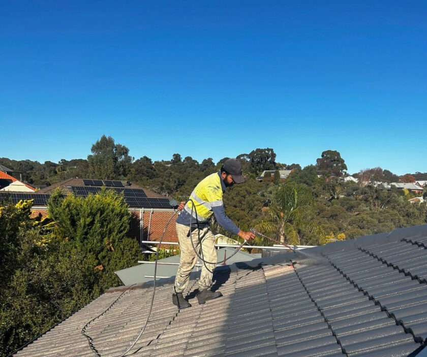 Roof Painting Projects | Dolphin Roofing