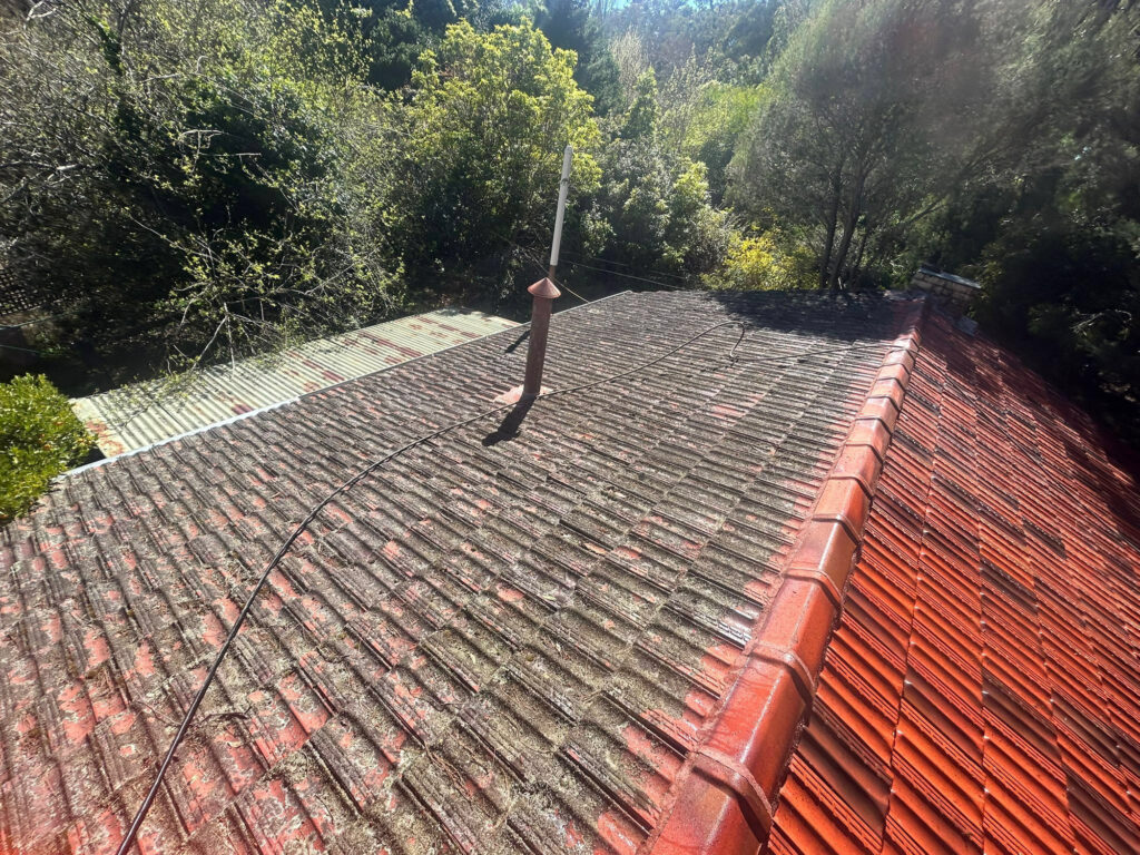 Terracotta Roof Restoration | Dolphin Roofing
