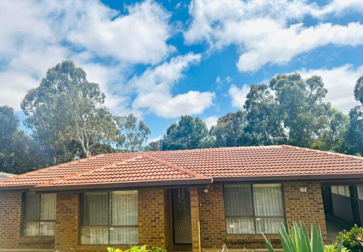 Case Studies | Dolphin Roofing