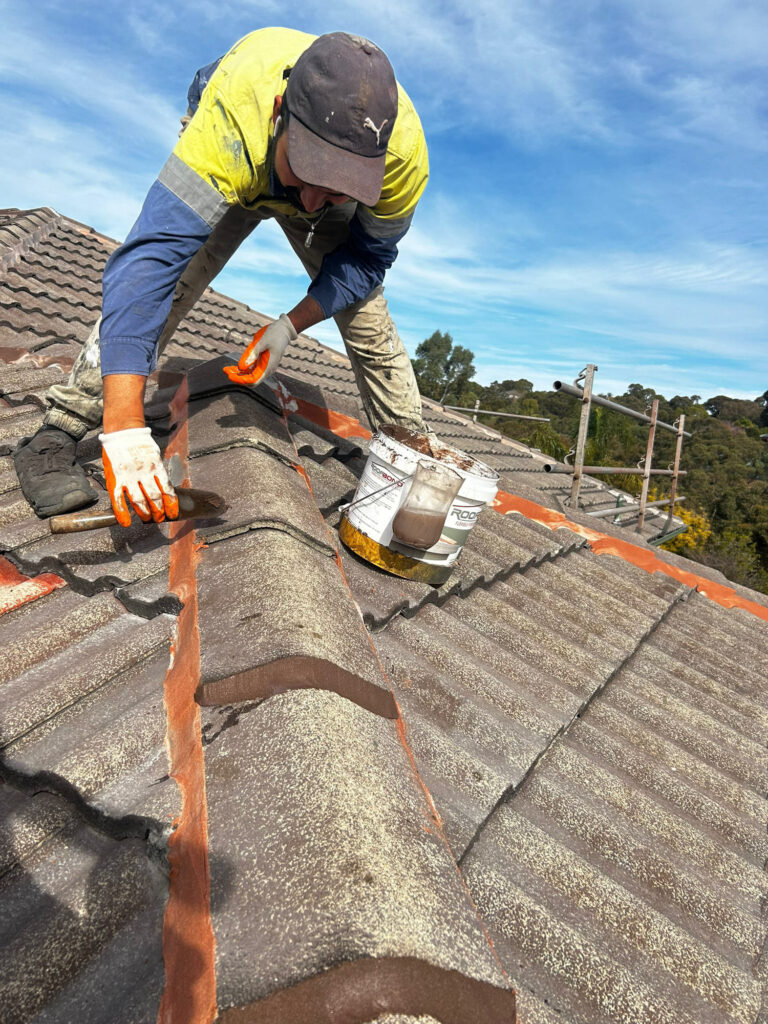 Gallery - Dolphin Roofing