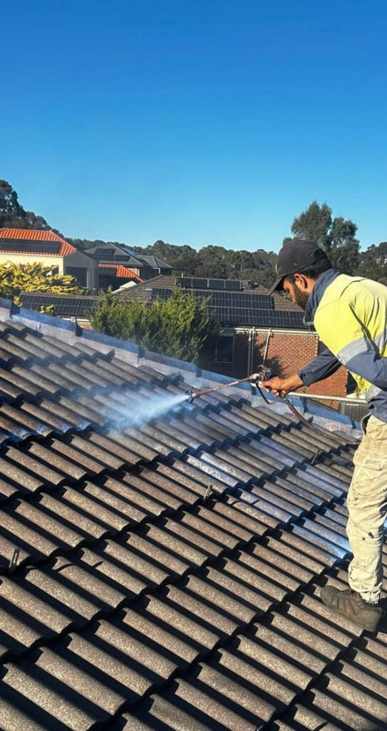 Roof Restoration Adelaide | Roofing Adelaide - Dolphin Roofing