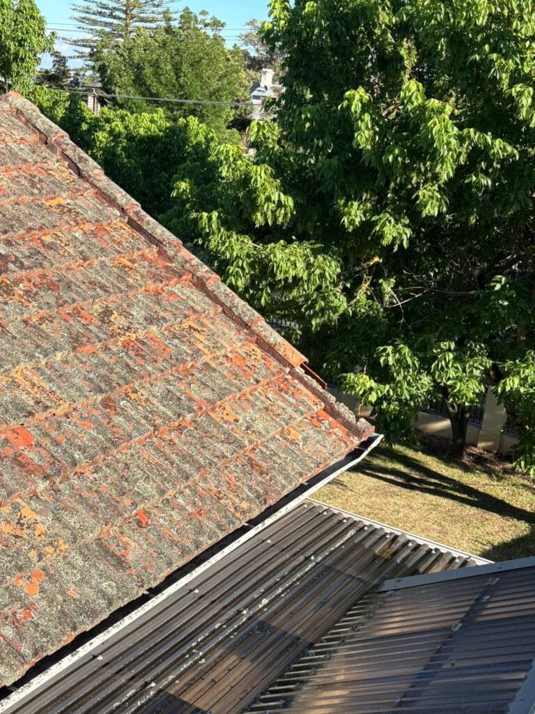 Terracotta Roof Restoration | Dolphin Roofing