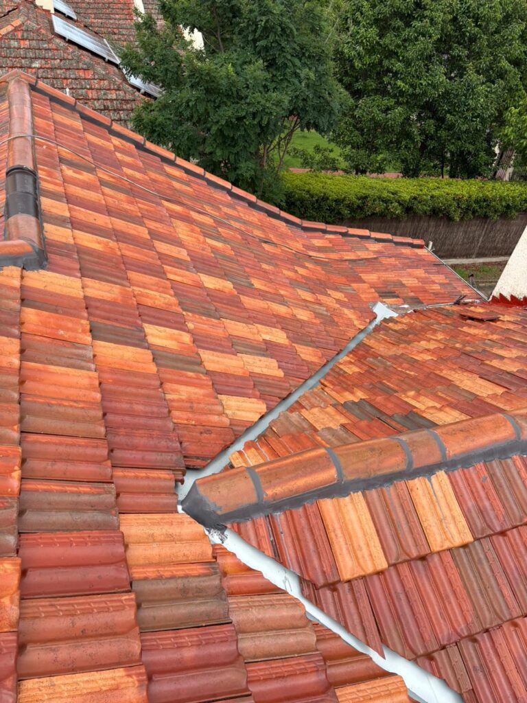Terracotta Roof Restoration | Dolphin Roofing