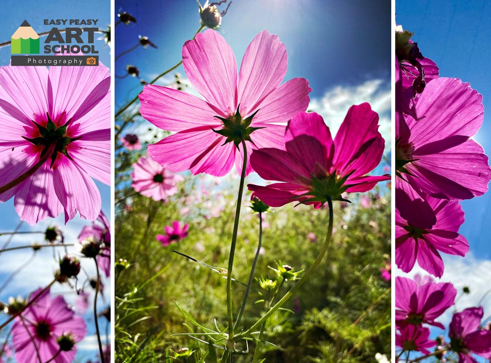 Photography Rule Of Thirds Easy Peasy Art School