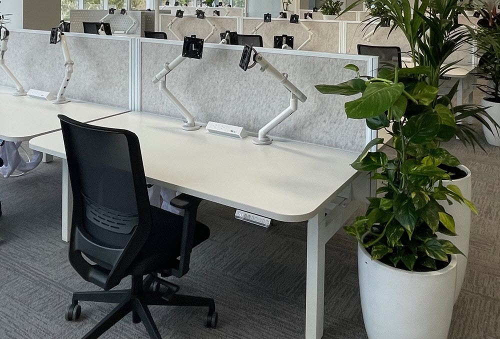 Toyota Finance - Emanate Design