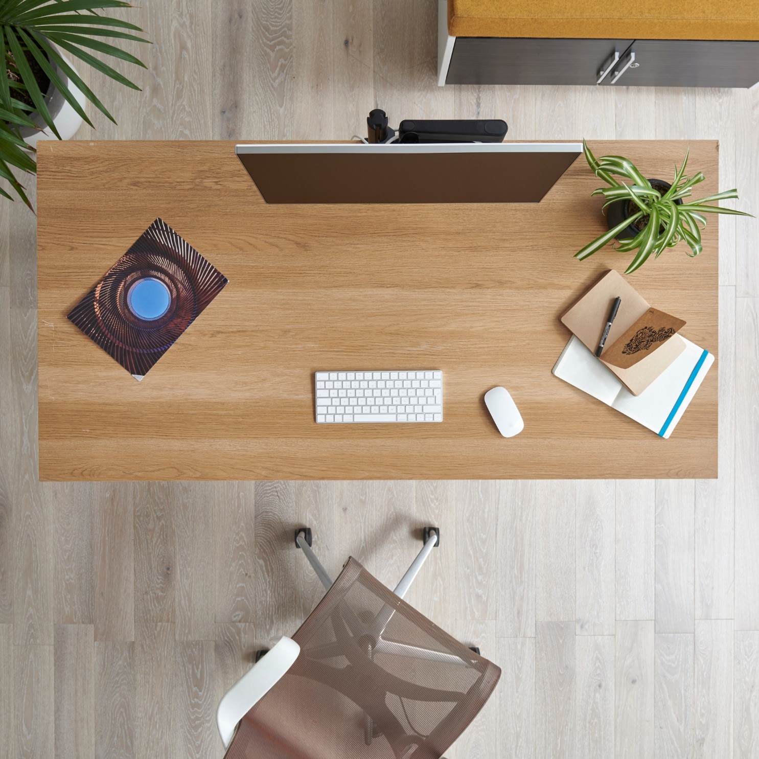 Lima Monitor Arm - Emanate Design