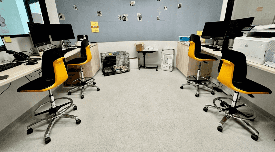 SASH - Emanate Design