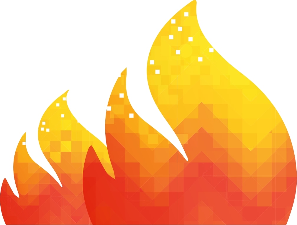 Program overview - Fire Australia