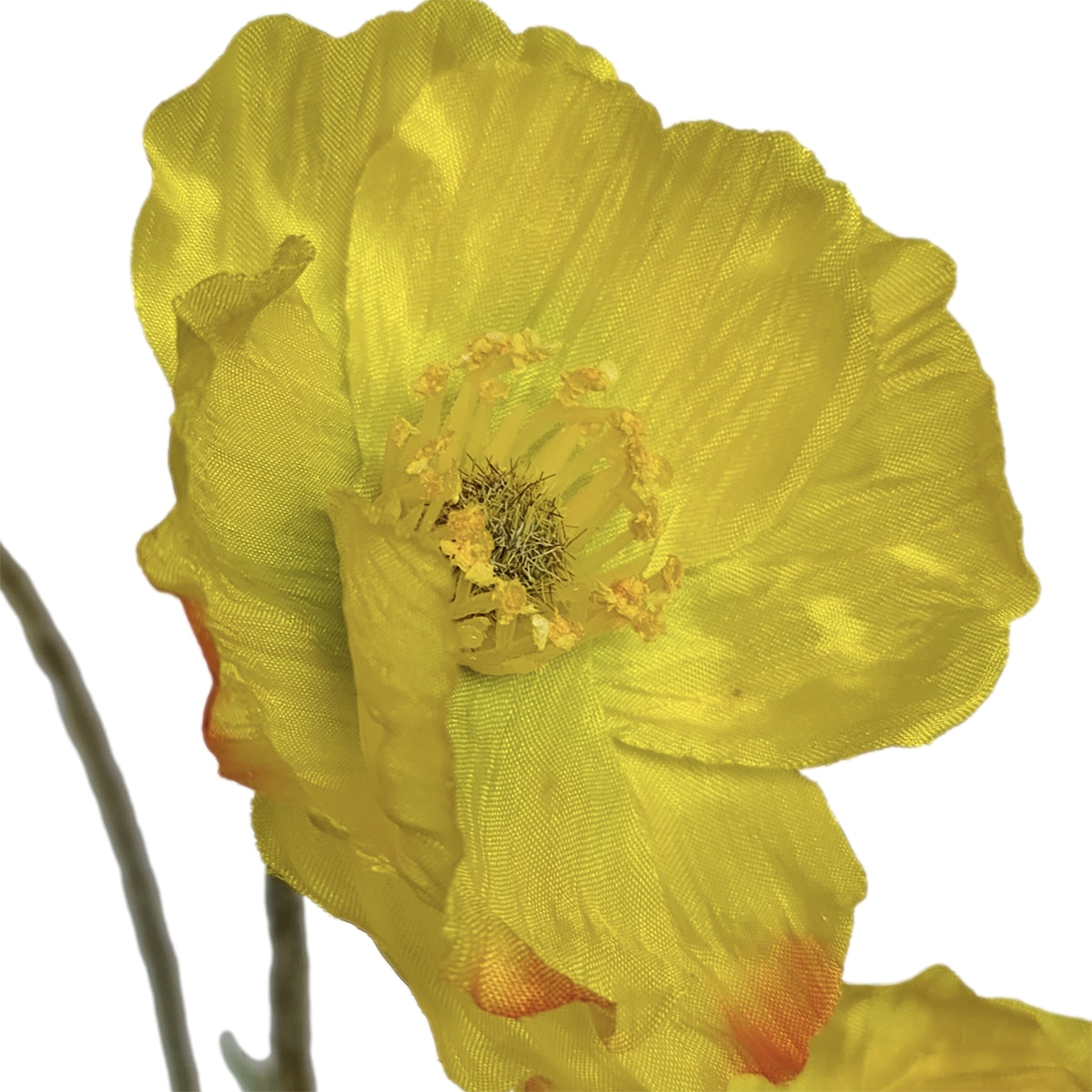 Field Poppy Spray - 56cmL / Yellow - Floral Craft