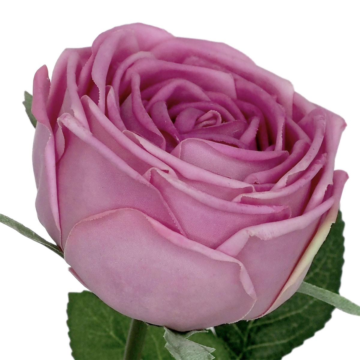 Austin Real Touch Artificial Rose - 43cmL / Pink - Floral Craft