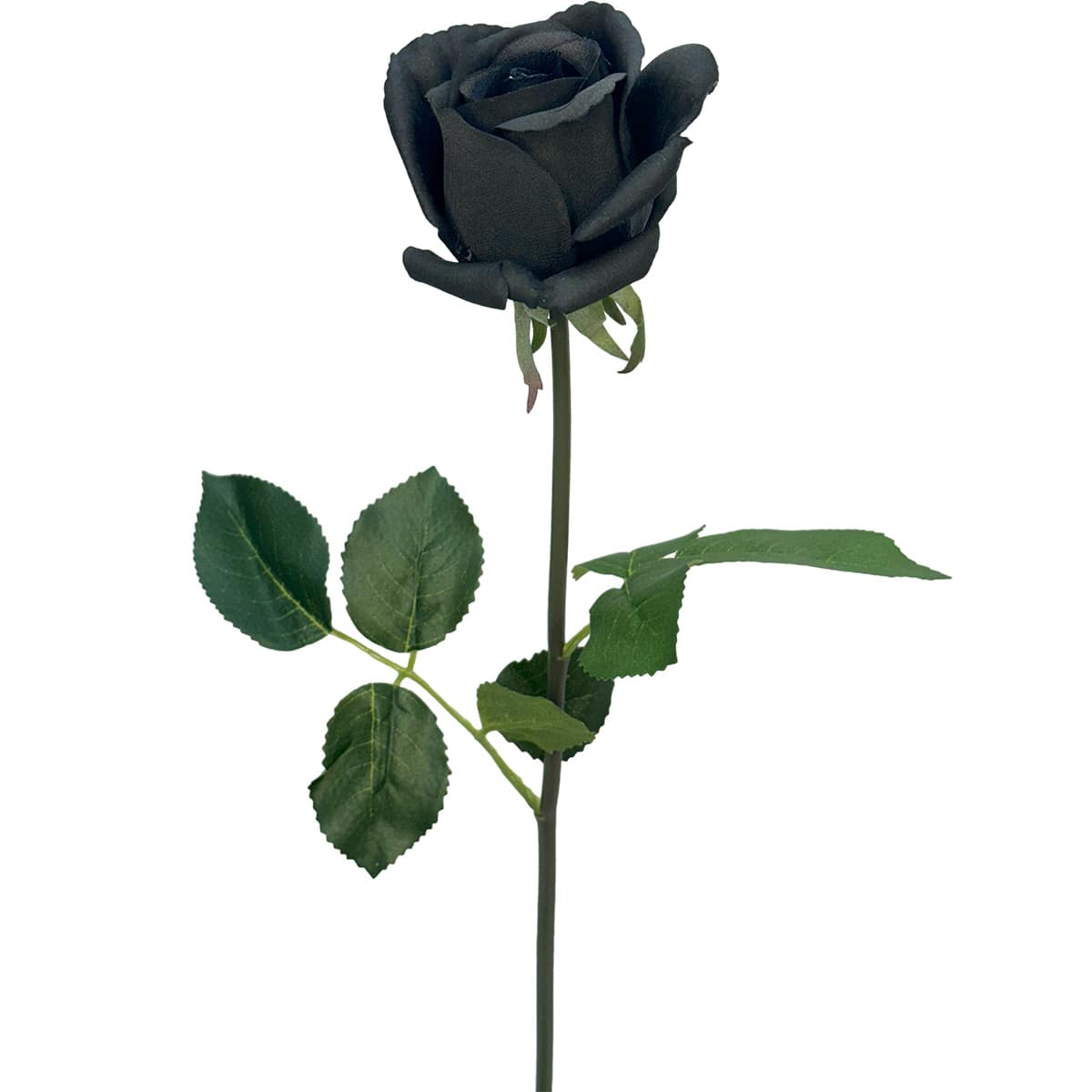 Bella Real Touch Rose - 46cmL / Black - Floral Craft