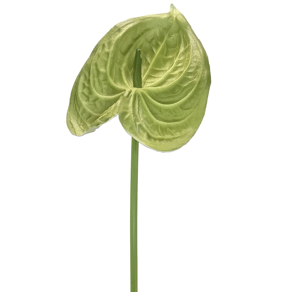 Real Touch Anthurium 57cm/Green - Floral Craft