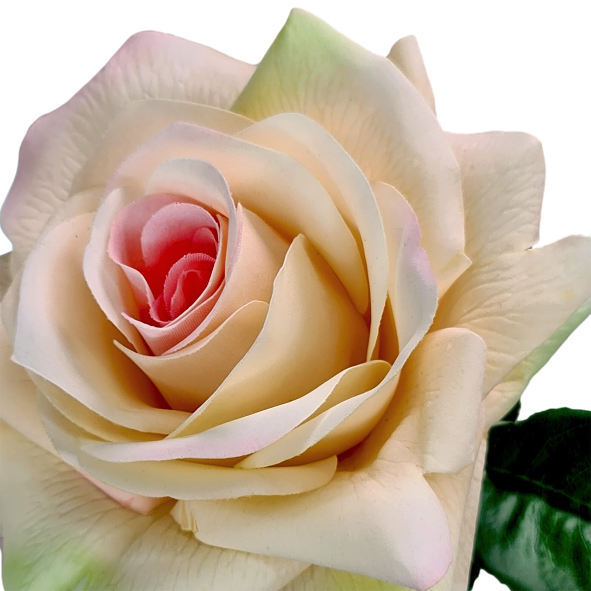 Emma Real Touch Rose - 70cmL / Cream/Pink - Floral Craft