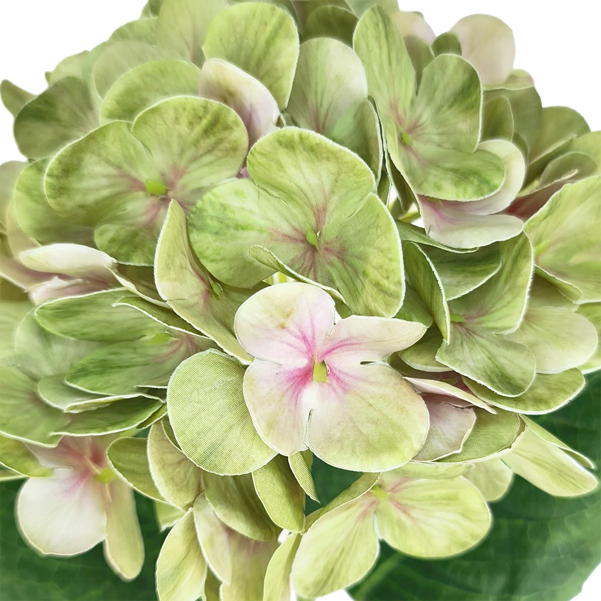 Seasons Hydrangea - 65cmL / Green - Floral Craft