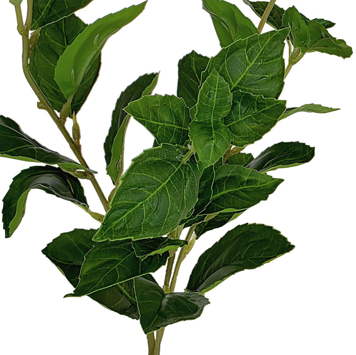 Green Leaf Spray - 55cmL - Floral Craft