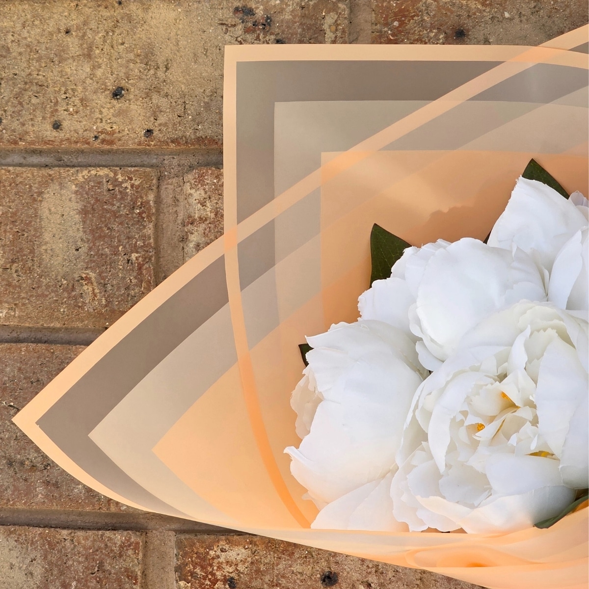 Frosted Border Poly Cello Wrap / Peach - Floral Craft