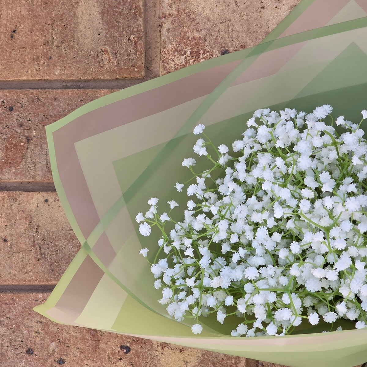 Frosted Border Poly Cello Wrap / Sage - Floral Craft