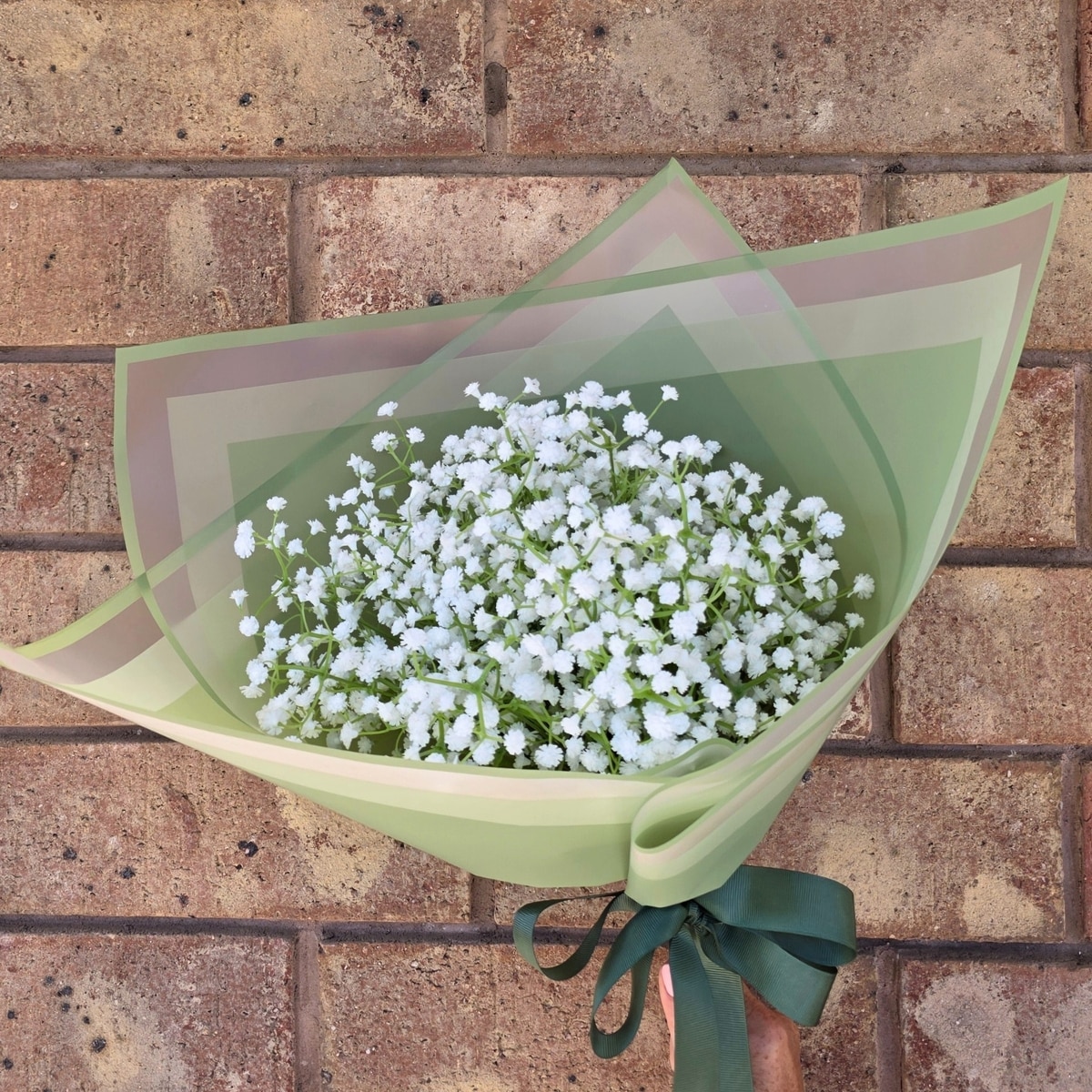 Frosted Border Poly Cello Wrap / Sage - Floral Craft