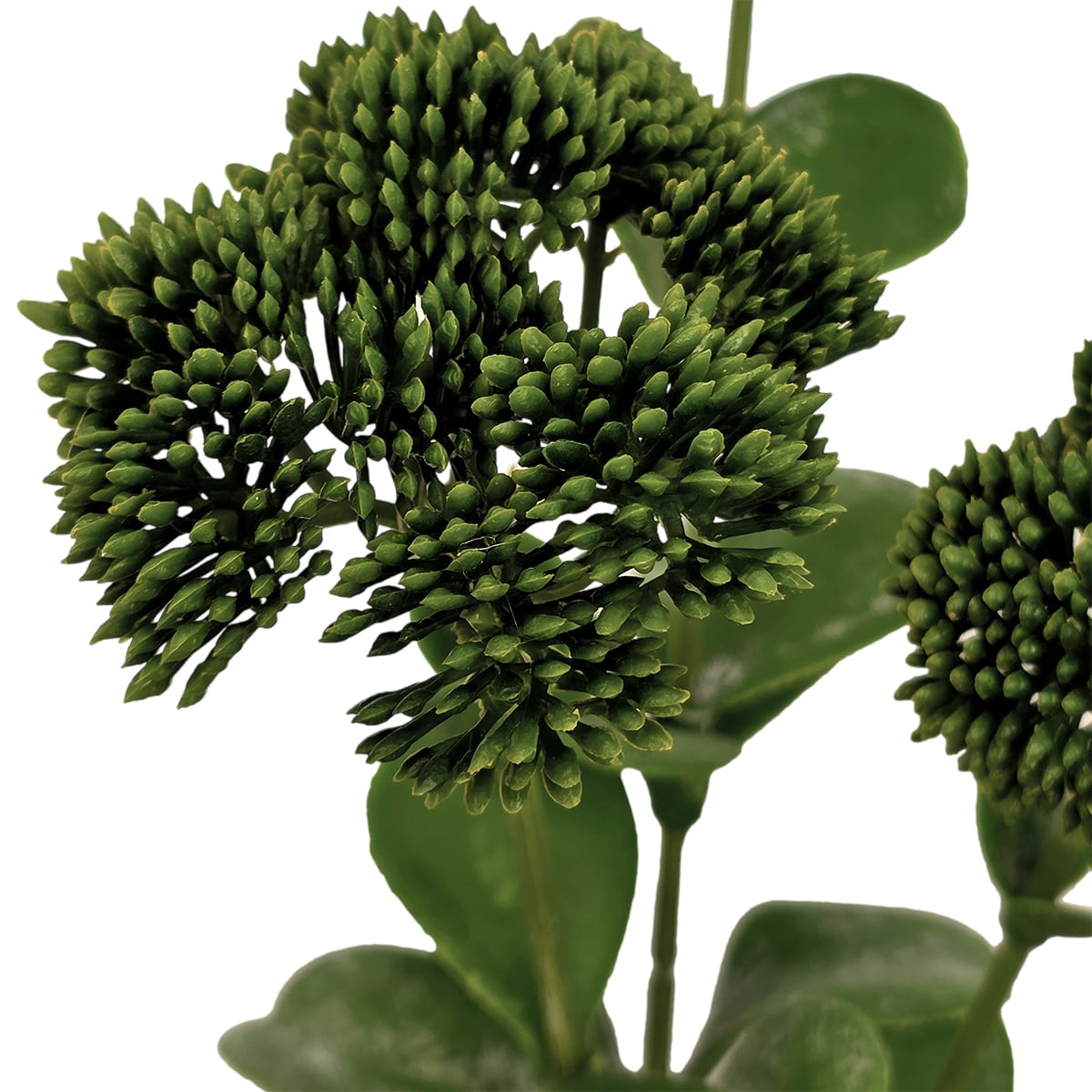Brynn Berry Spray Green – 57cm Artificial Green Berry Stem