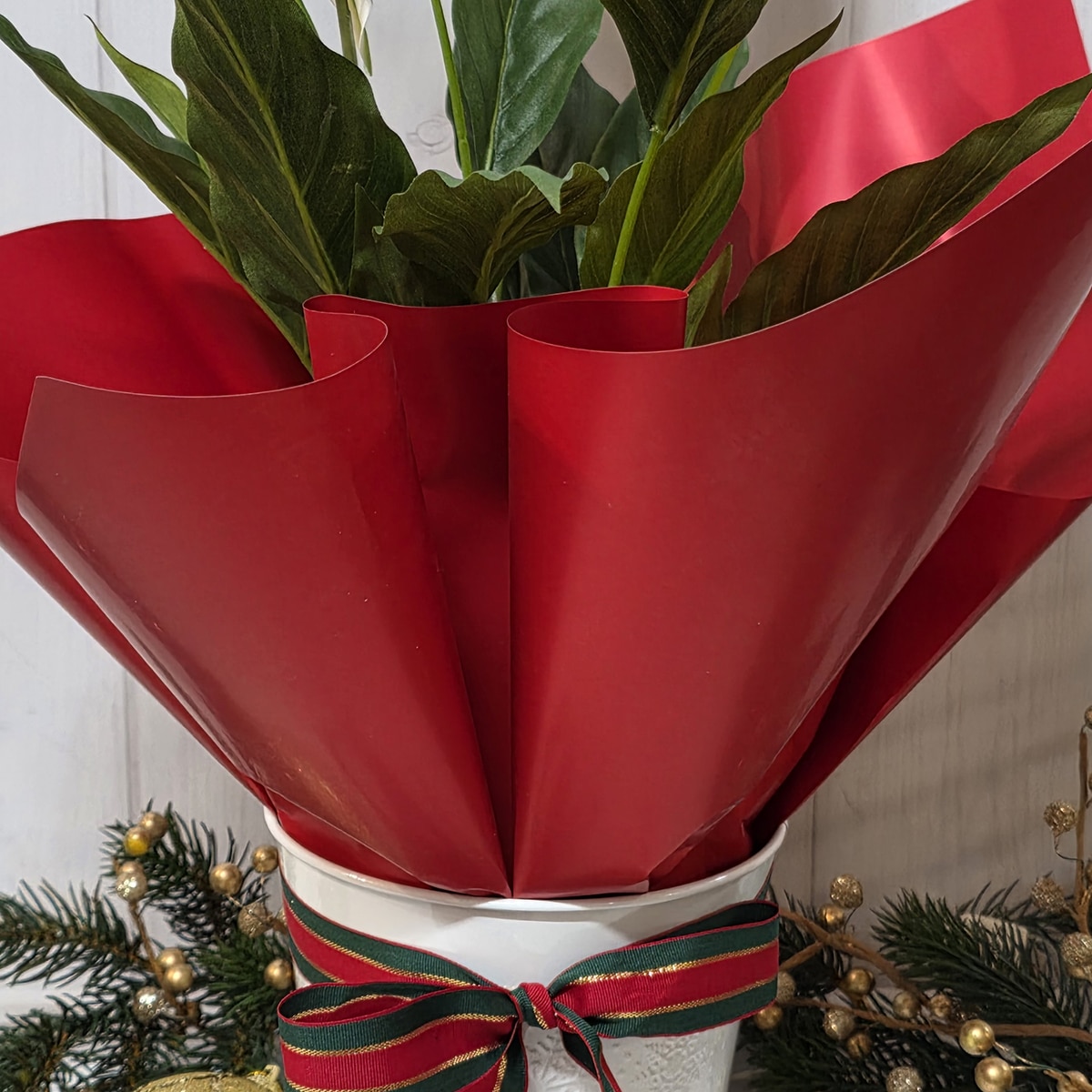 Premium Matte Poly Cello Wrap Red | 65 mic – 100 Sheets