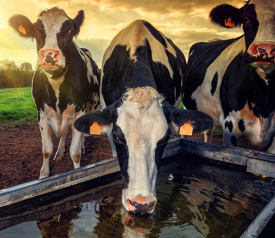 Bore Water - Freshwater Systems Australia