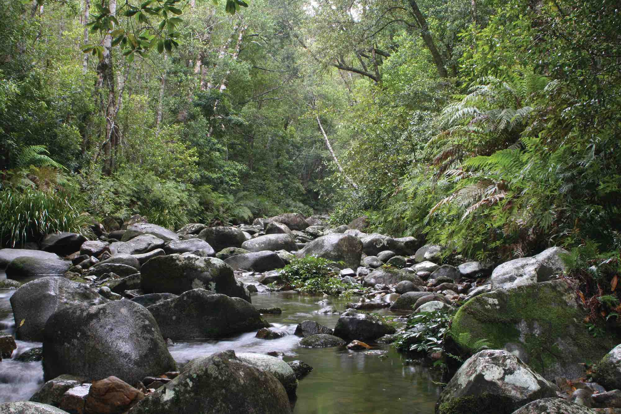 Finding Australian Birds with Tim Dolby and Rohan Clarke | Good Reading
