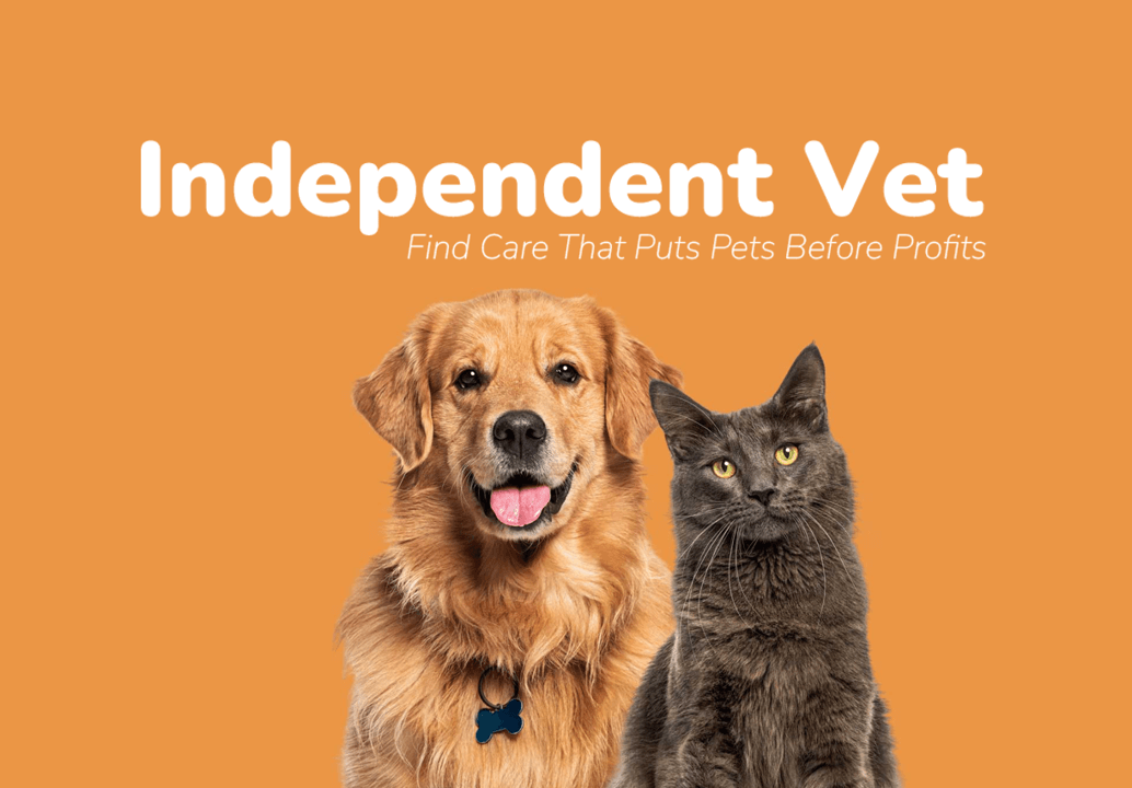 Browse our Resources section at Independent Vet — find helpful ...