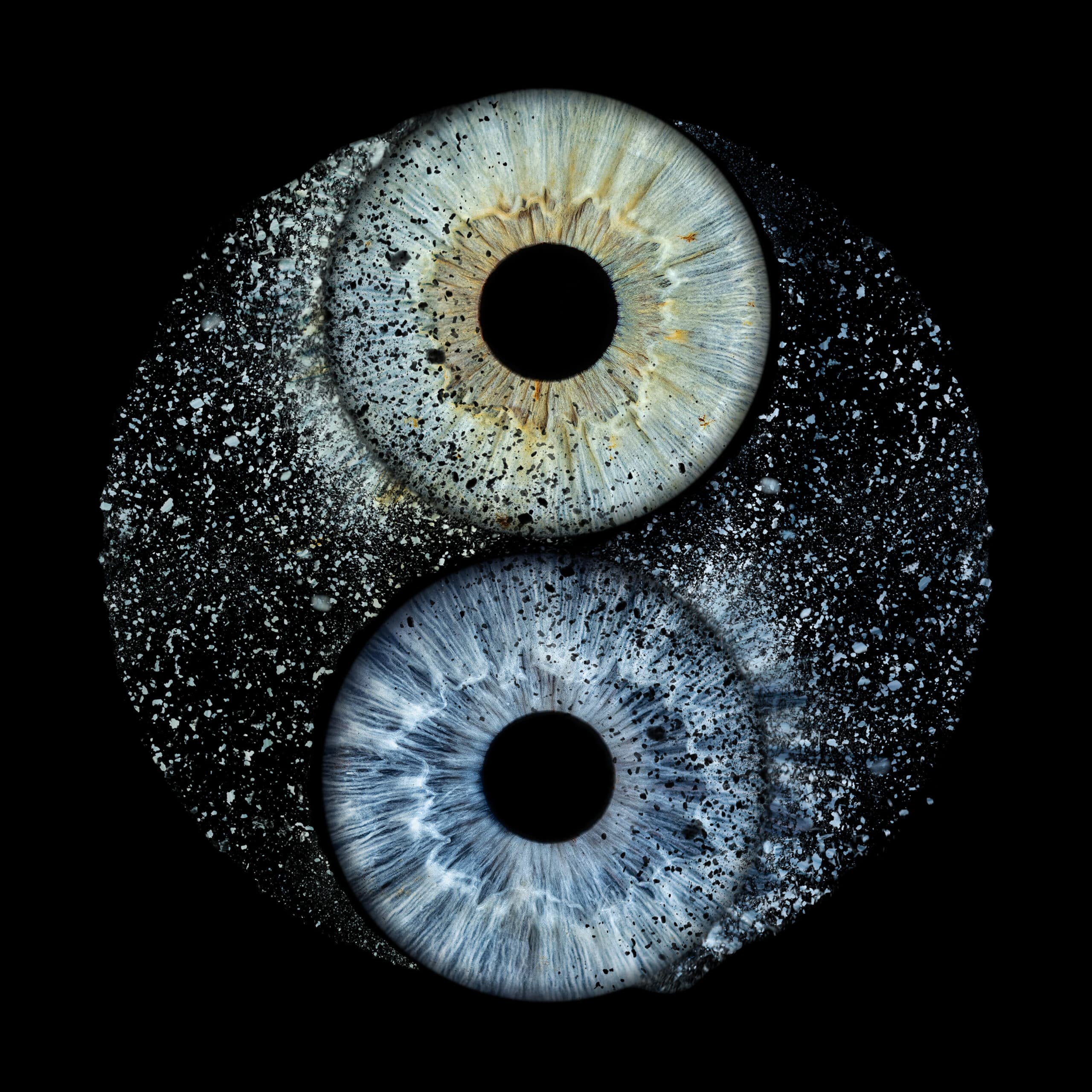 Yin Yang Print - Iris Photo