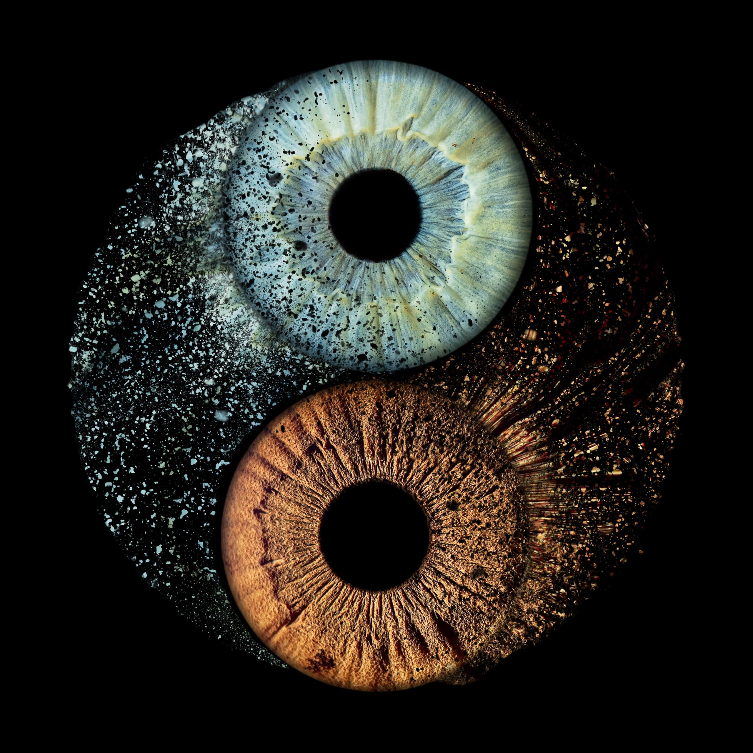 Yin Yang Print - Iris Photo