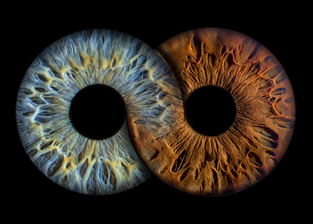 Infinity - Iris Photo